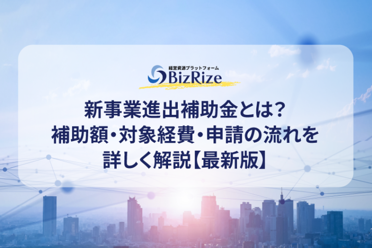 新事業進出補助金とは？補助額・対象経費・申請の流れを詳しく解説【最新版】 - 経営資源プラットフォーム Biz Rize