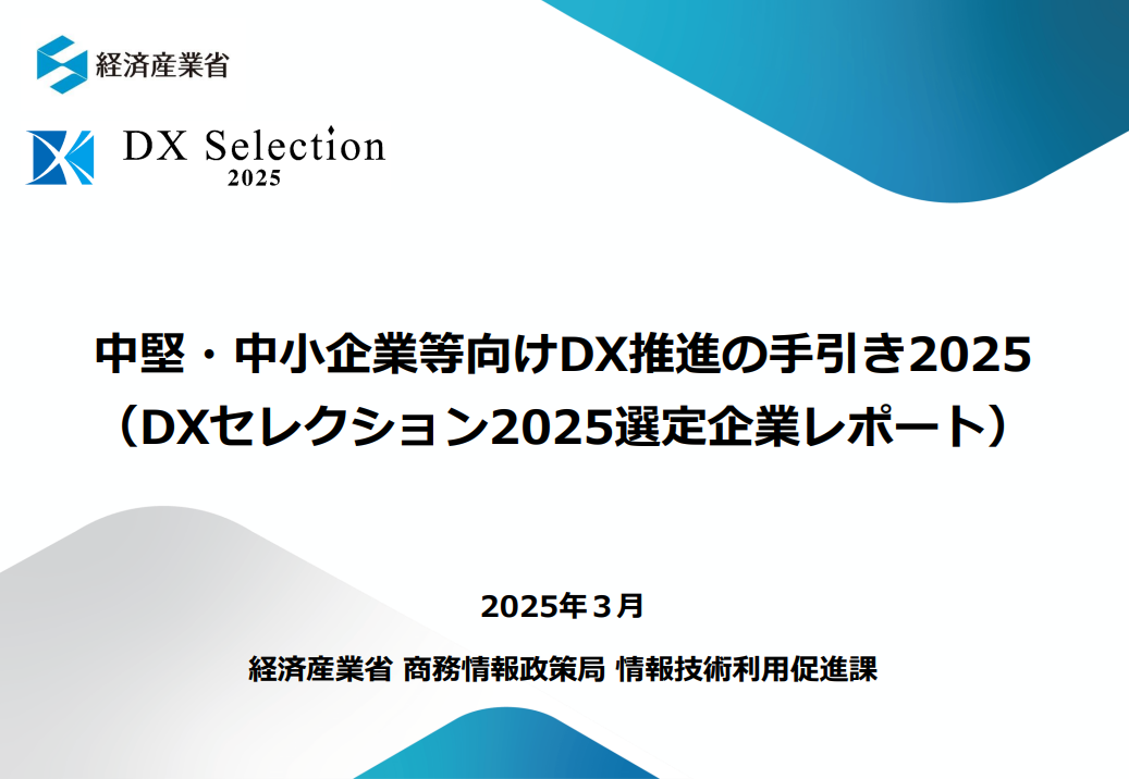 DXの進め方がよく分かる！経産省が「中小企業等向け手引き」公表 活用法を徹底解説 - BizRize